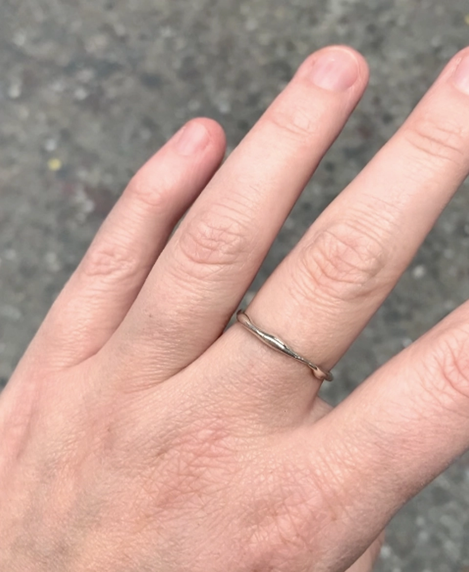 liquid ring – another project